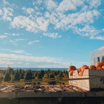 STOCKER FARMS - Updated August 2025 - 193 Photos & 129 Reviews - 8705 ...