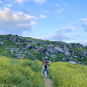 SYCAMORE CANYON WILDERNESS PARK - 296 Photos & 45 Reviews - Sycamore ...