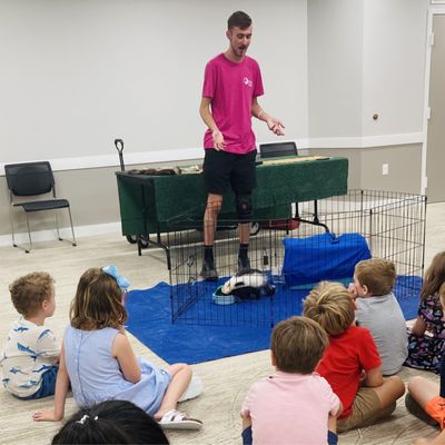 RADNOR MEMORIAL LIBRARY - Updated September 2025 - 79 Photos - 114 West ...