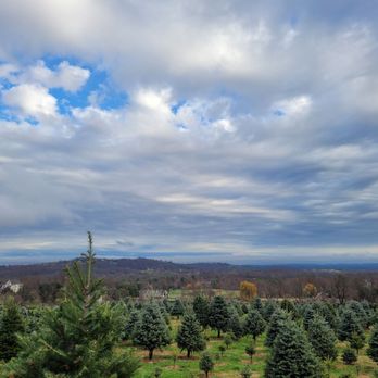 SNICKERS GAP CHRISTMAS TREE FARM - TEMP. CLOSED - Updated July 2025 ...