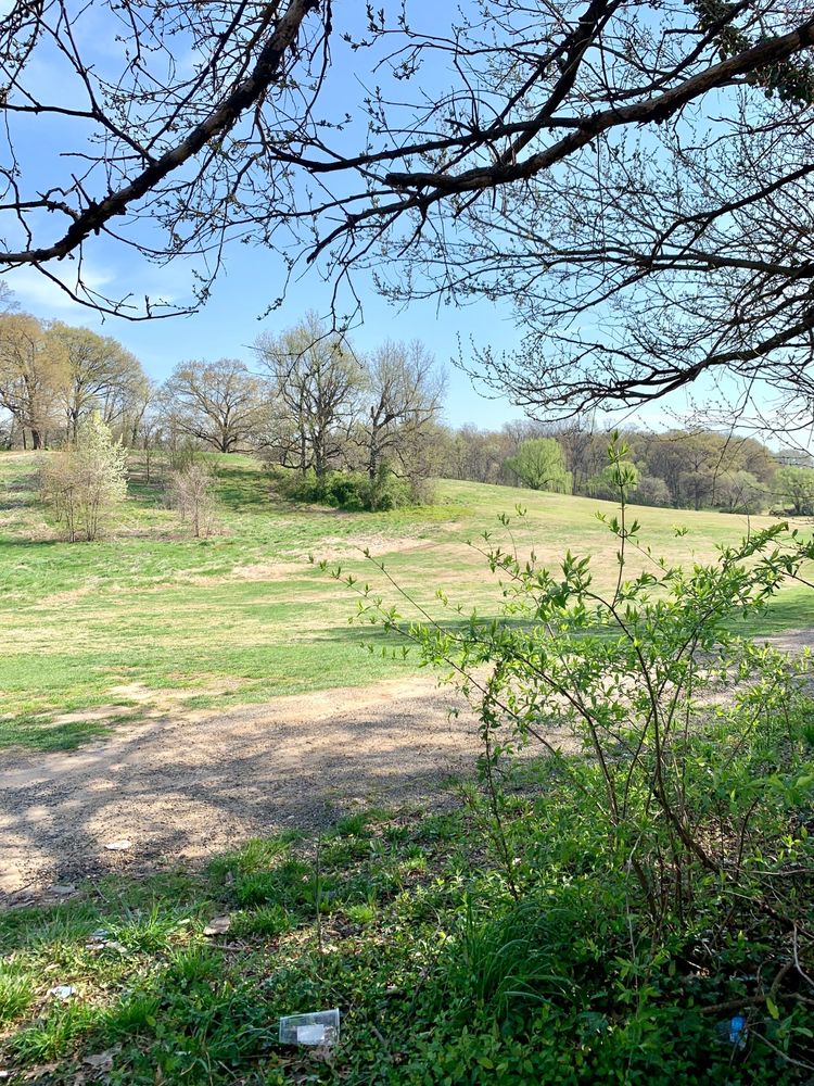 LANGSTON GOLF COURSE - Updated May 2024 - 32 Photos & 39 Reviews - 2600 ...