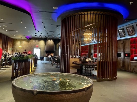 AJA ASIAN CUISINE & LOUNGE - Updated December 2025 - 444 Photos & 298 ...