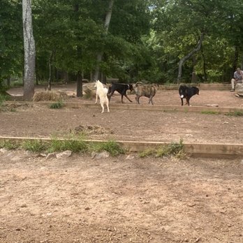 CONESTEE PARK - Updated December 2025 - 24 Photos & 15 Reviews - 840 ...