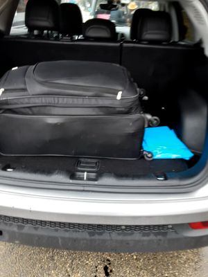 AVIS RENT A CAR - Updated December 2024 - 64 Photos & 313 Reviews - 1 ...