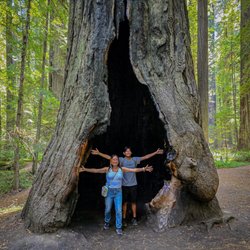 THE 10 BEST Things to Do in Hayfork, CA - 2024 - Yelp