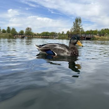 ESTHER SIMPLOT PARK - Updated October 2025 - 80 Photos & 16 Reviews ...