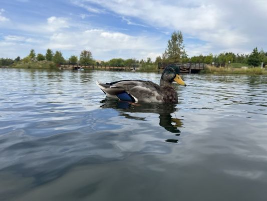 ESTHER SIMPLOT PARK - Updated August 2025 - 80 Photos & 15 Reviews ...