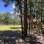 EUDORA WILDLIFE SAFARI PARK - 154 Photos & 26 Reviews - 219 Salem Ln ...
