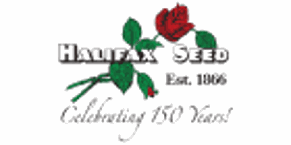 HALIFAX SEED - Updated January 2026 - 664 Rothesay Avenue, Saint John ...