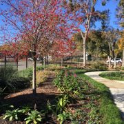 GRAPEVINE BOTANICAL GARDENS - 256 Photos & 59 Reviews - 411 Ball St ...