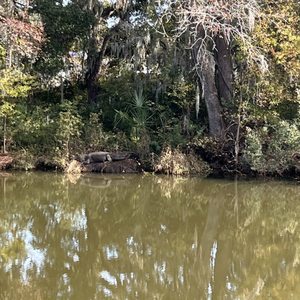 NAVAL NUCLEAR POWER TRAINING COMMAND - Updated May 2025 - 101 Nnptc Cir ...