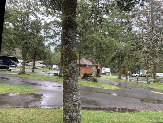 CANNON BEACH RV RESORT - Updated October 2024 - 42 Photos & 57 Reviews ...