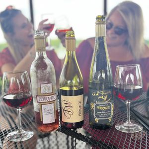 FERRANTE WINERY & RISTORANTE - 194 Photos & 180 Reviews - 5585 N River ...