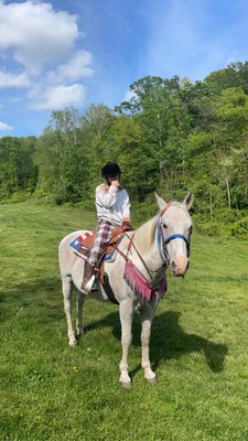 MUSTANG MEADOW - Updated November 2025 - 10 Photos - 571 Quaker Farms ...