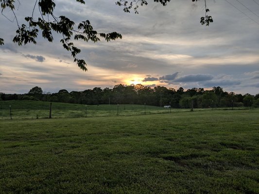 ANNE SPRINGS CLOSE GREENWAY - 211 Photos & 58 Reviews - 2573 Lake ...