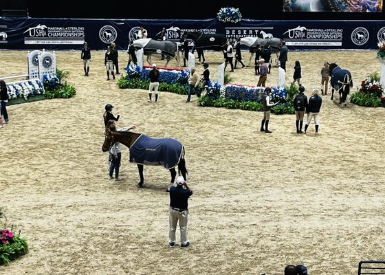 South Point Arena & Equestrian Center - Serving Las Vegas, NV - Updated ...