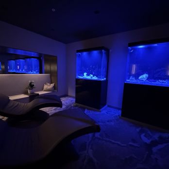 DOLCE VITA WELLNESS & MEDICAL SPA - Updated December 2025 - 322 Photos ...