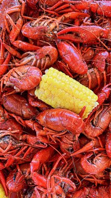 SOUL HAUS KITCHEN - Updated December 2025 - 32 Photos & 36 Reviews ...