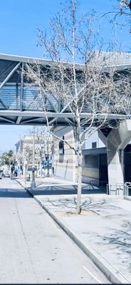 MIGUEL CONTRERAS LEARNING COMPLEX - Updated August 2025 - 22 Photos ...