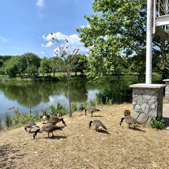 BEN BRENMAN PARK - Updated December 2025 - 128 Photos & 50 Reviews ...