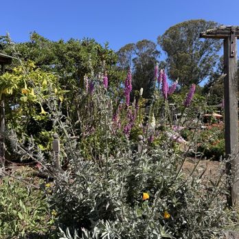 CRYSTAL BAY FARM - Updated December 2025 - 163 Photos & 78 Reviews - 40 ...