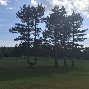 PADDOCK CHEVROLET GOLF DOME - Updated October 2025 - 40 Photos & 38 ...