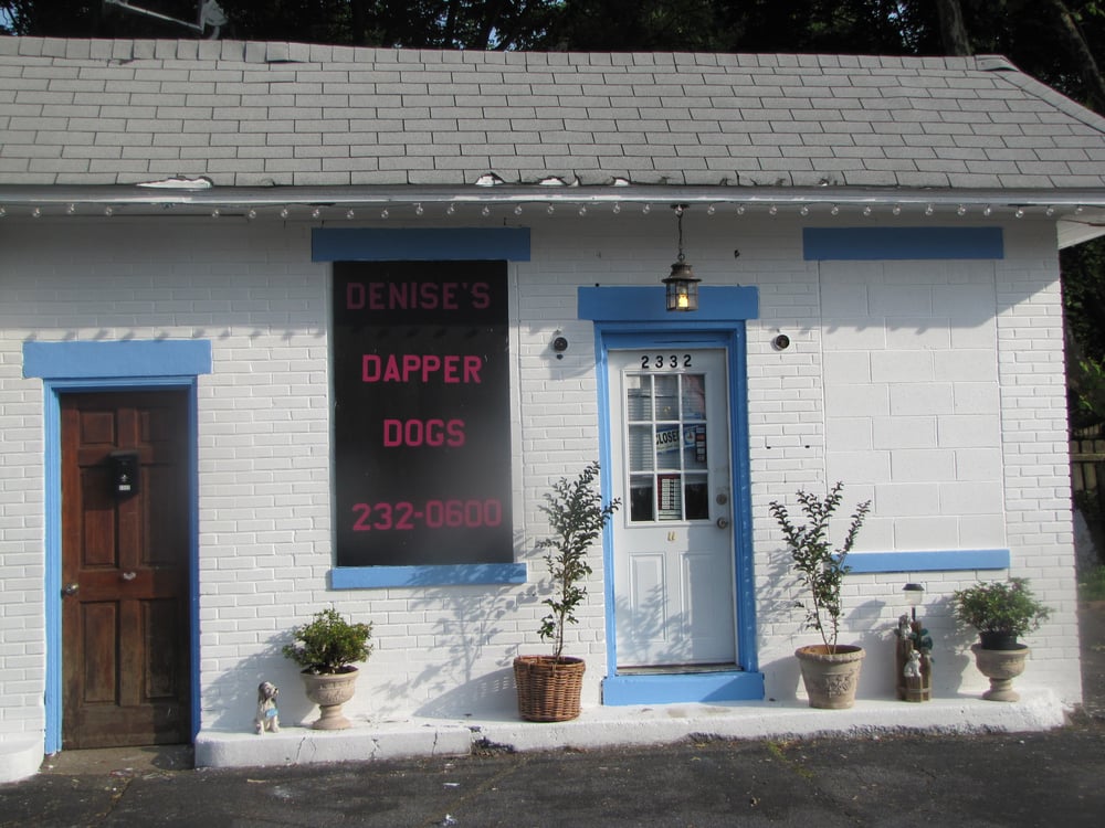 DENISE’S DAPPER DOGS - Updated August 2025 - 16 Photos - 113 Old York ...