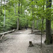 BRONTE CREEK PROVINCIAL PARK - 191 Photos & 19 Reviews - Parks - 1219 ...
