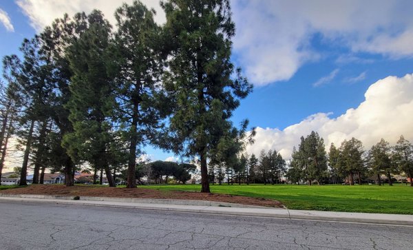 CIMARRON PARK - Updated December 2025 - 14 Photos & 12 Reviews - 736 ...