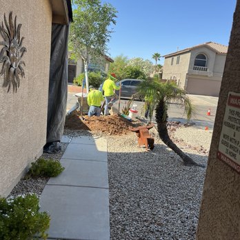 MOON VALLEY NURSERIES - Updated May 2025 - 49 Photos & 36 Reviews - 5545 W Hunt Hwy, Queen Creek ...