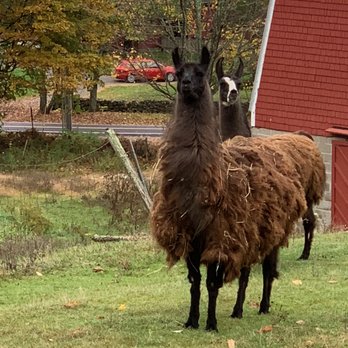 MAPLE HILL FARM INN & CONFERENCE CENTER - Updated August 2024 - 96 ...