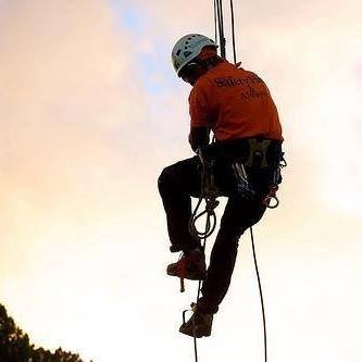 SAMSON TREE CARE - Updated December 2024 - 10 Photos - 3190 Upper ...