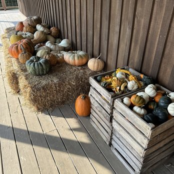 FOWLER PUMPKIN PATCH - Updated December 2025 - 32 Photos - 5060 N Greene County Line Rd ...