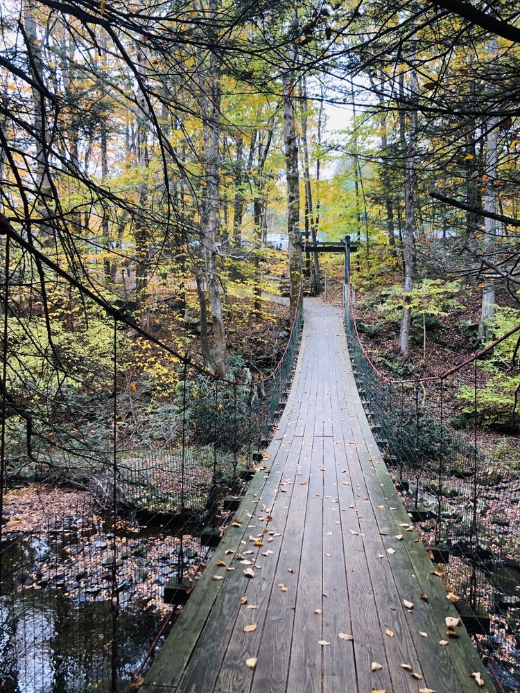 MEMORYTOWN - 20 Photos & 39 Reviews - 432 Grange Road, Mount Pocono ...