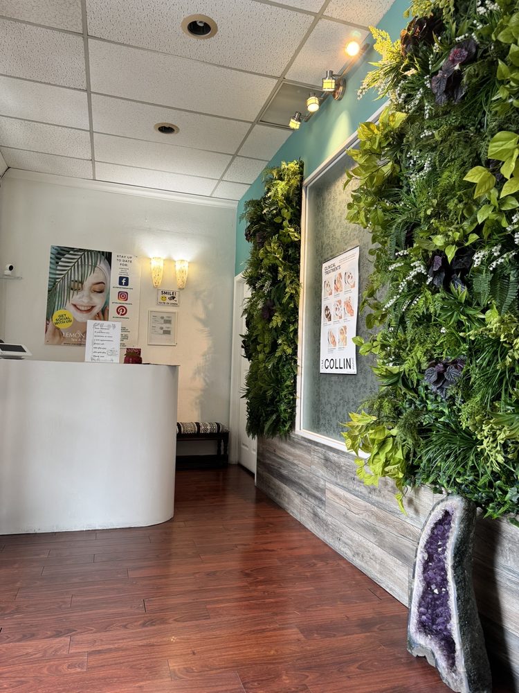 LEMON TREE SPA AND SALON - Updated October 2025 - 47 Photos & 131 ...