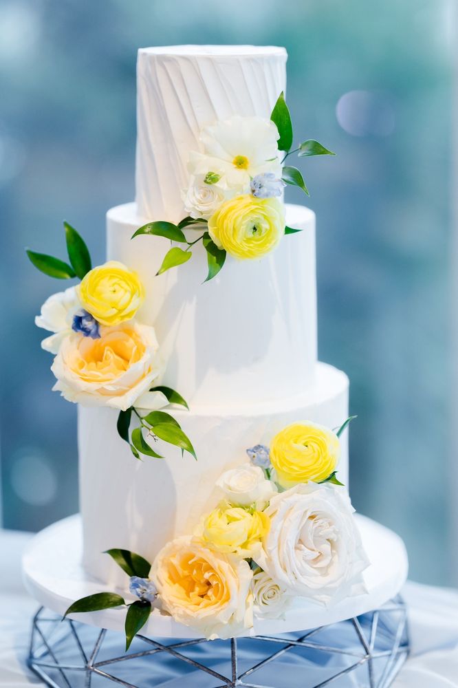 TAMPA BAY CAKE COMPANY - Updated November 2025 - 56 Photos & 16 Reviews ...