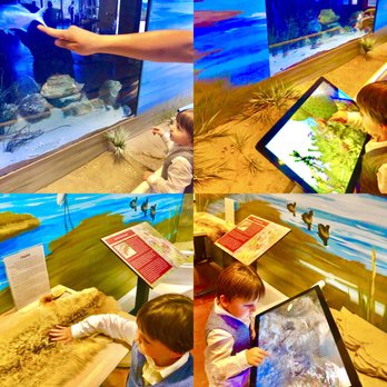 PETER AND MARY MUTH INTERPRETIVE CENTER - Updated December 2025 - 91 ...