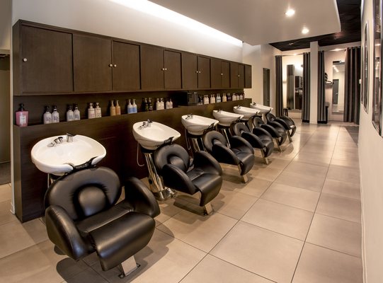 THE DAVID SALON - Updated October 2025 - 153 Photos & 334 Reviews - 355 ...