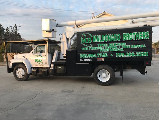 MALDONADO BROTHERS TREE SERVICE - Updated October 2025 - 186 Photos ...