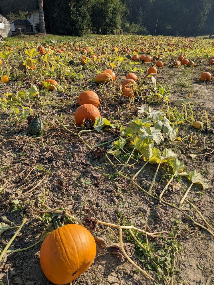 SERRES FARM - Updated September 2025 - 31 Photos & 32 Reviews - 20306 ...