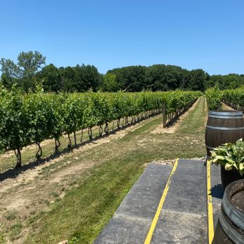 M CELLARS - Updated June 2025 - 138 Photos & 105 Reviews - 6193 S River ...