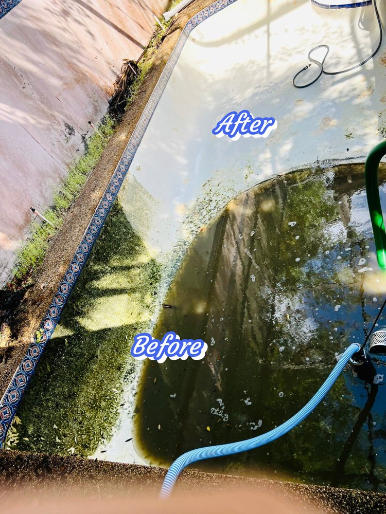 BAHAMA BLASTERS - Updated July 2024 - Request a Quote - Orlando ...