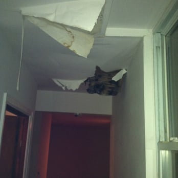 JOHN R APARTMENTS - Updated August 2025 - 14 Photos - 2627 John R ...