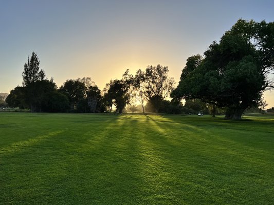 EL PRADO GOLF COURSE - 90 Photos & 101 Reviews - 6555 Pine Ave, Chino ...