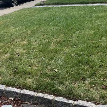 TRUGREEN LAWN CARE - Updated January 2025 - 49 Photos & 86 Reviews - 60 ...