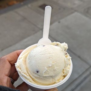 TARA’S ORGANIC ICE CREAM - 378 Photos & 968 Reviews - 3173 College Ave ...