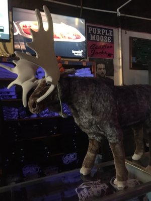 PURPLE MOOSE SALOON - 33 Photos & 84 Reviews - 108 S Atlantic Ave ...
