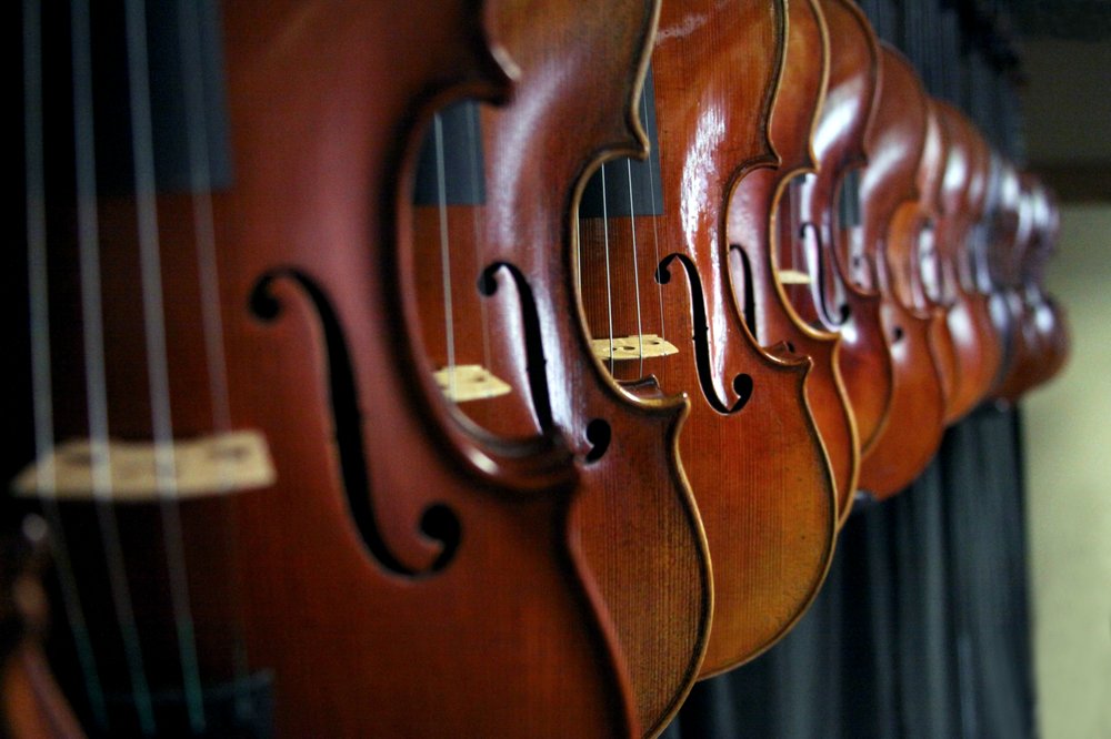 PLUM GROVE MUSIC - Updated August 2025 - 1650 E 181st Ave, Hebron ...