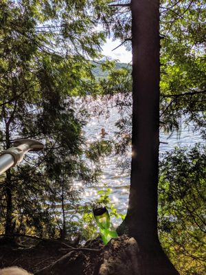 MAIDSTONE STATE PARK - Updated December 2025 - 14 Photos - 4858 ...