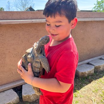 MIMI’Z PETTING ZOO - Updated April 2025 - 90 Photos & 11 Reviews ...